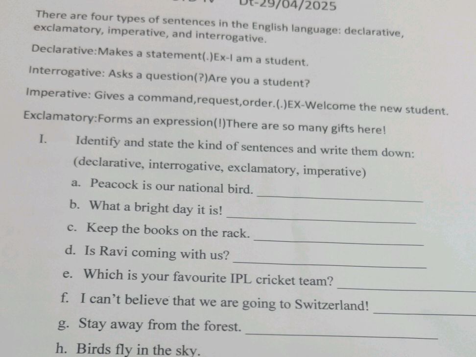 There are four types of sentences in the | StudyX