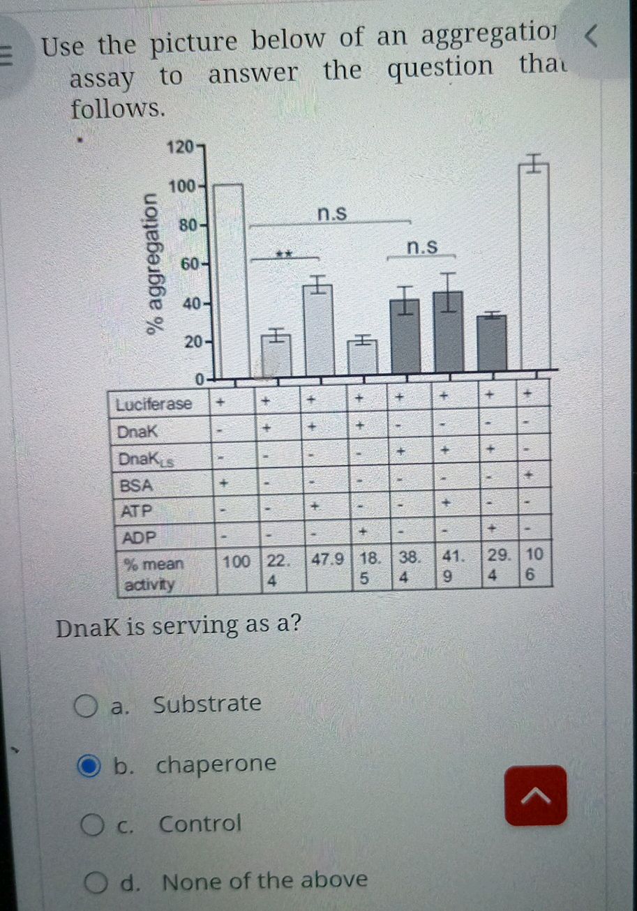 Use the picture below of an aggregation | StudyX