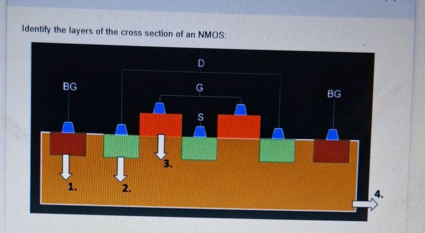 Identify the layers of the cross section of | StudyX