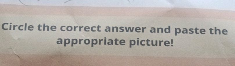 Circle the correct answer and paste the | StudyX