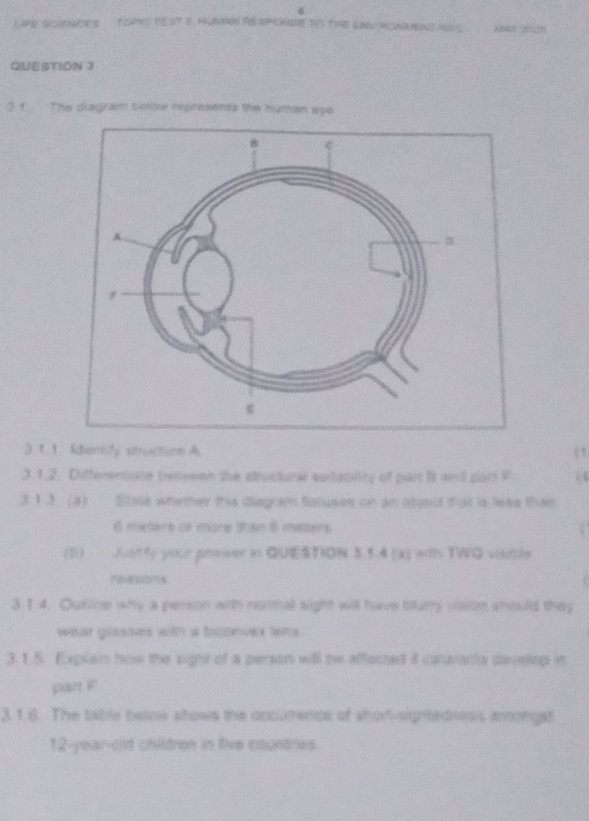 3. The diagram below represents the human | StudyX