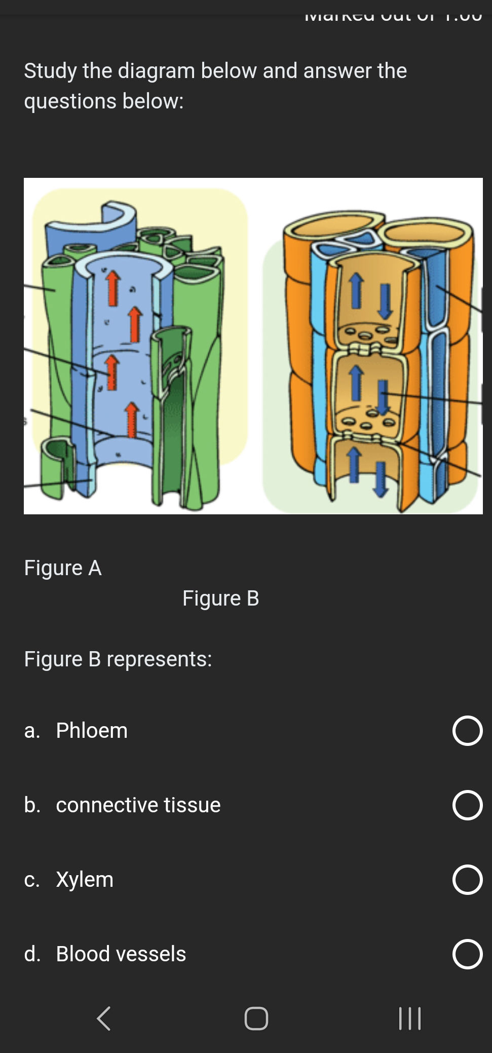 Study the diagram below and answer the | StudyX