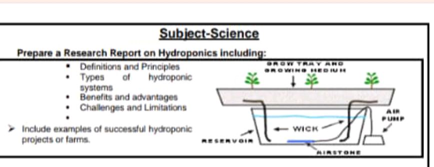Prepare a Research Report on Hydroponics | StudyX