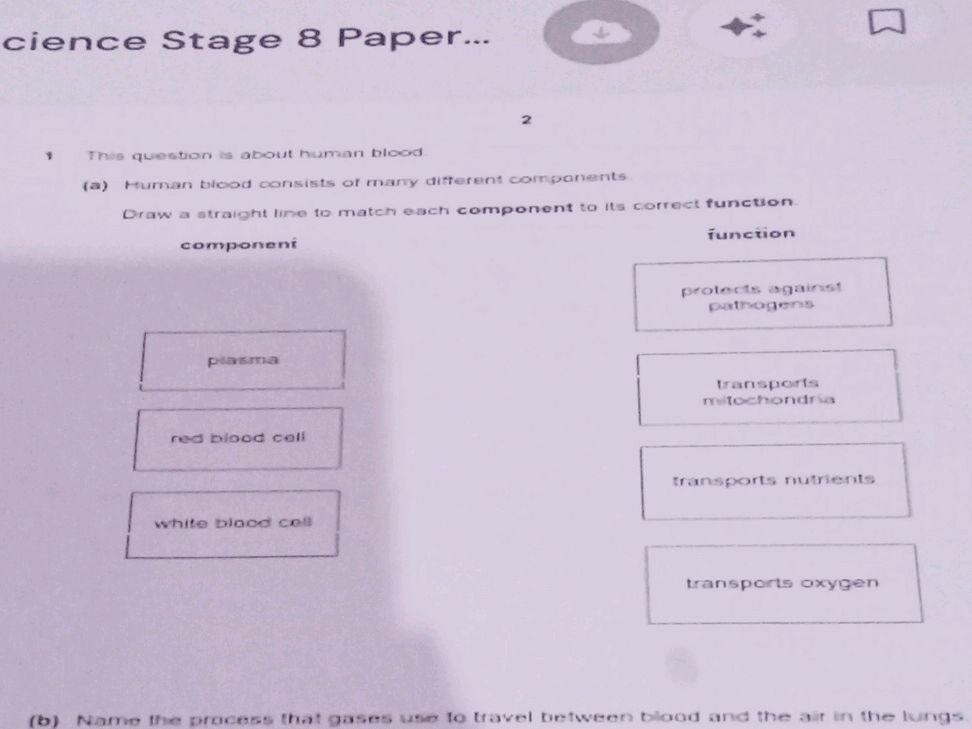 (a) Human blood consists of many different | StudyX