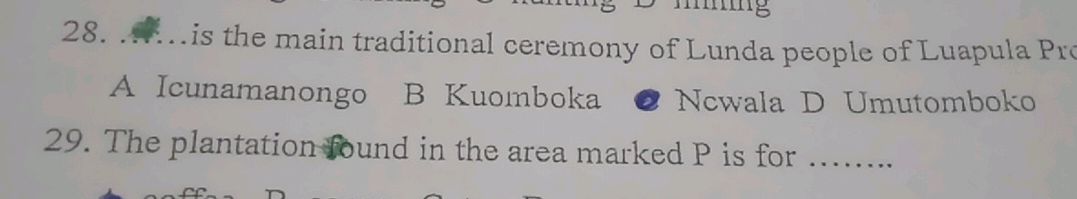 28. ...is the main traditional ceremony of | StudyX