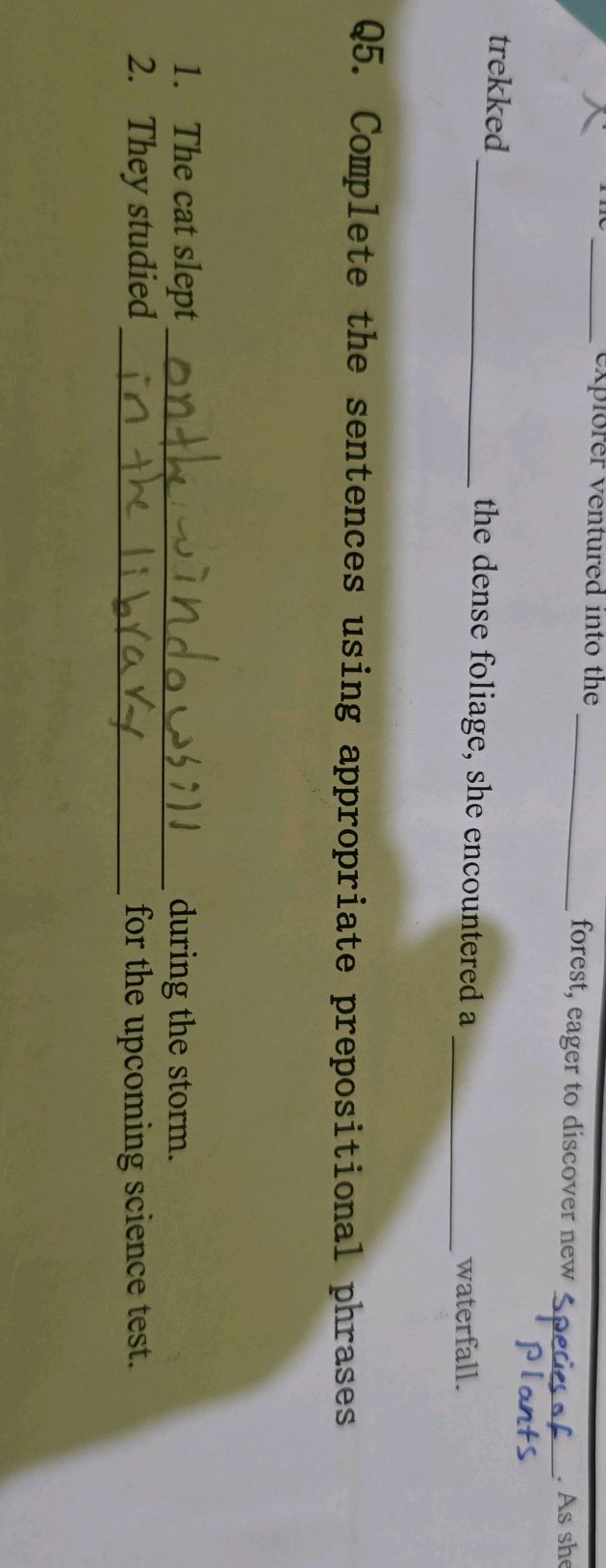 Q5. Complete the sentences using appropriate | StudyX