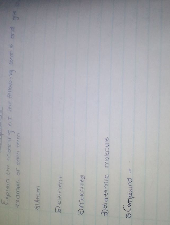 Explain the meaning of the following terms | StudyX