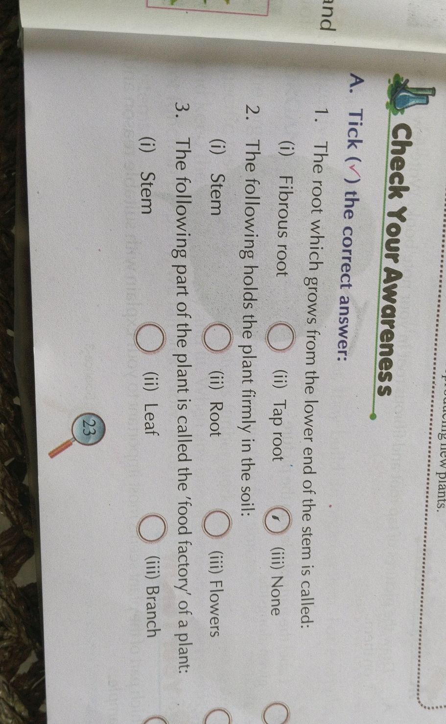 A. Tick ( ) the correct answer: 1. The root | StudyX