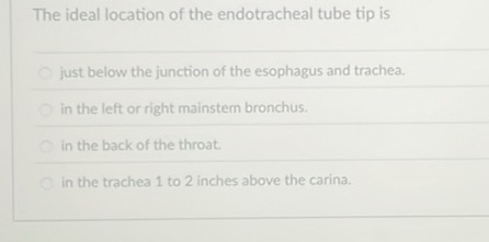 The ideal location of the endotracheal tube | StudyX