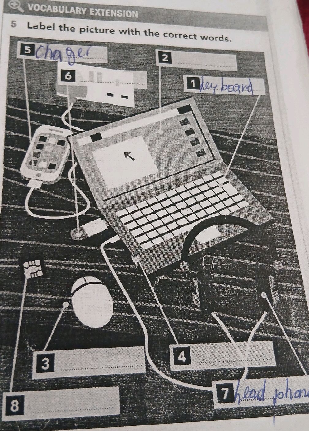 5 Label the picture with the correct words. | StudyX