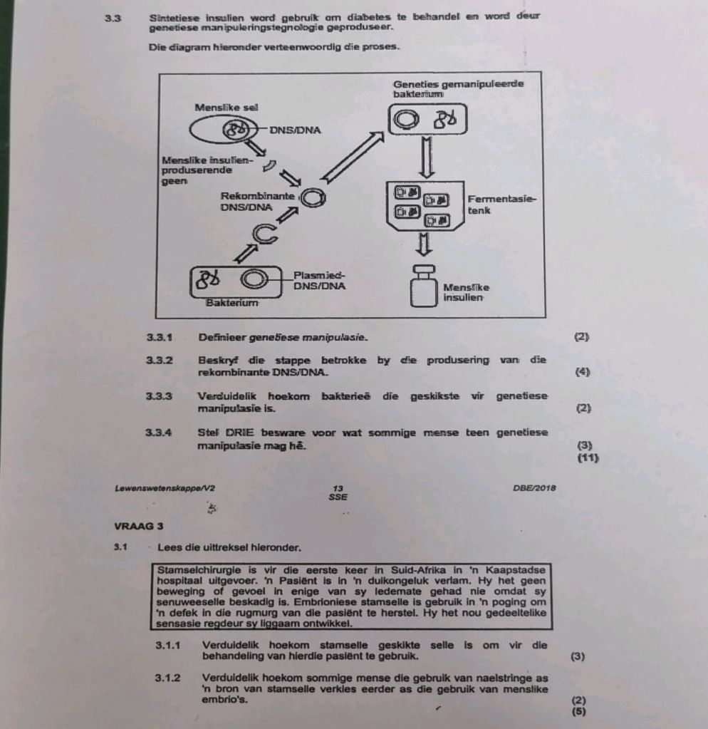 3.3 Sintetiese insulien word gebruik om | StudyX