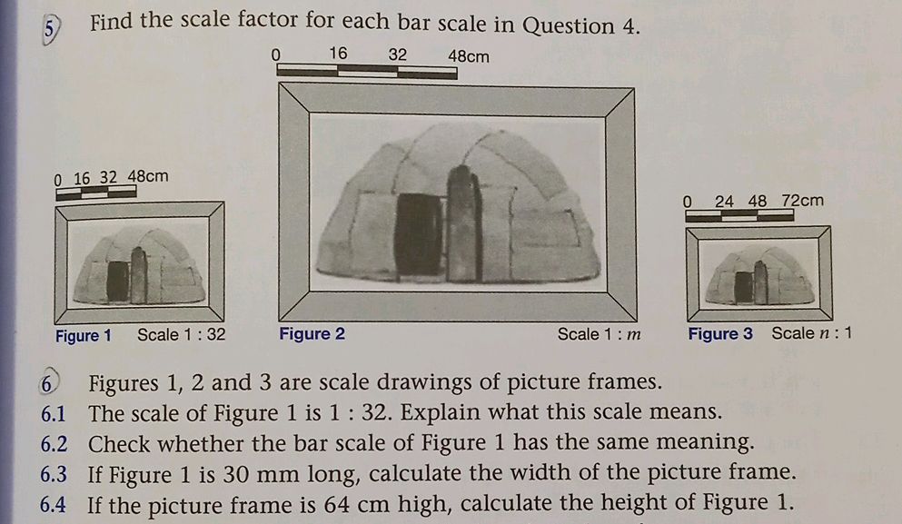 Find the scale factor for each bar scale in | StudyX