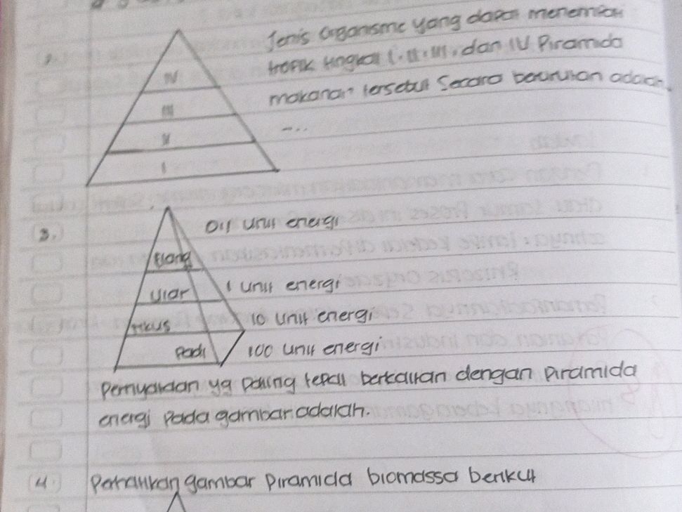 Jenis Organisme yang dapat menempati trofik | StudyX
