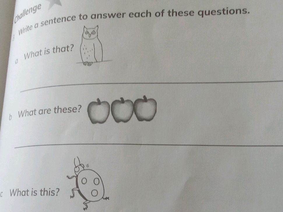 Write a sentence to answer each of these | StudyX