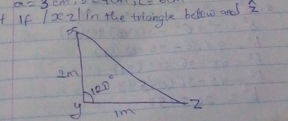 If |xz| in the triangle below and {z} 2m | StudyX