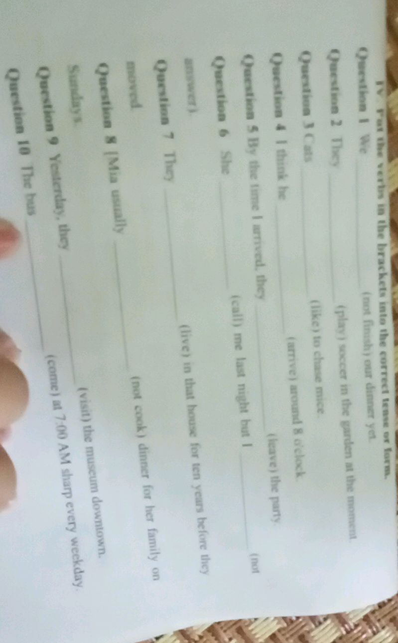 IV. Pat the verbs in the brackets into the | StudyX