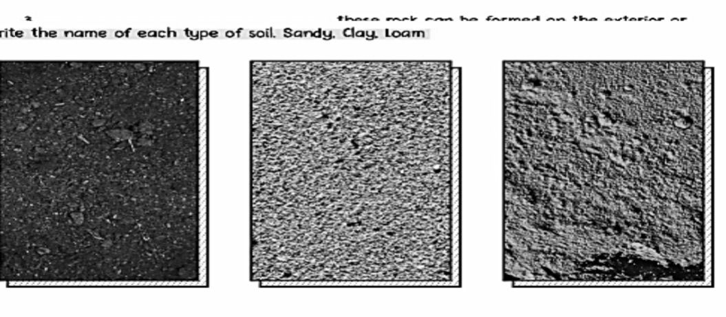 Write the name of each type of soil. Sandy, | StudyX