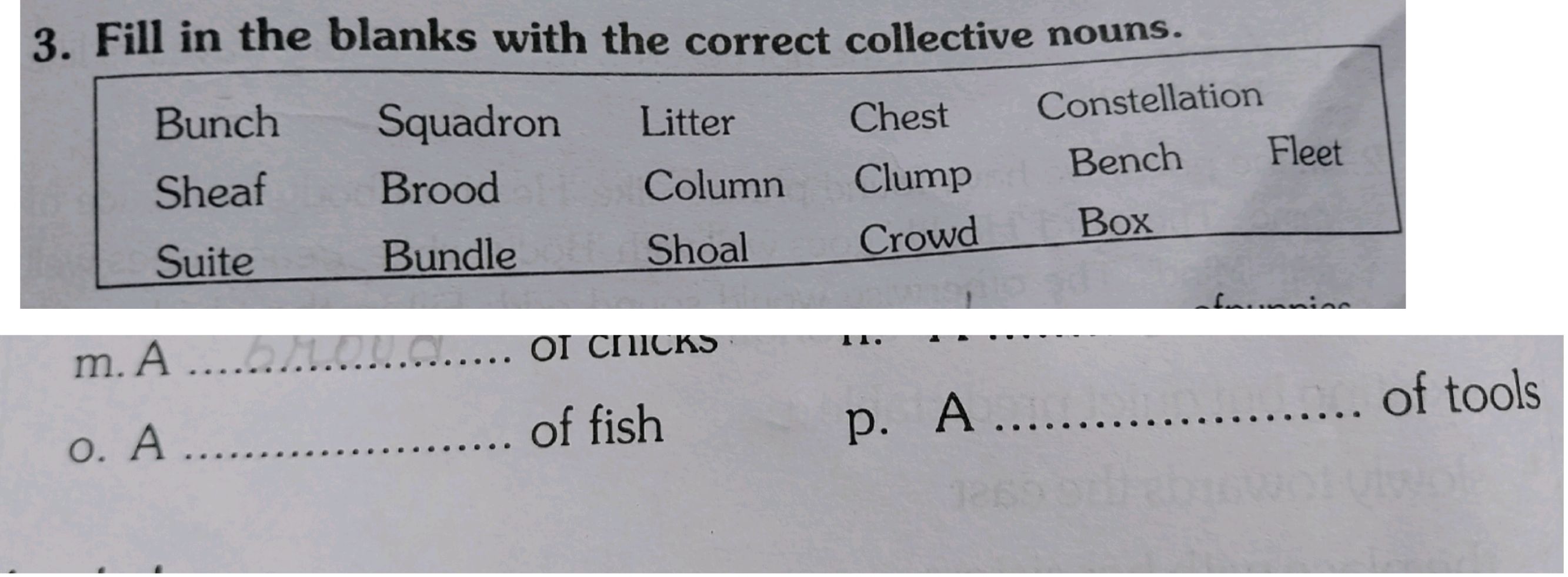 3. Fill in the blanks with the correct | StudyX