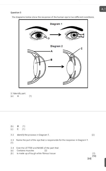 Question 3 The diagrams below show the | StudyX
