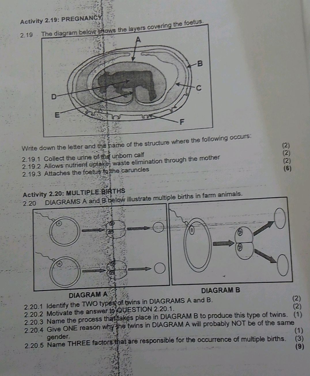 2.19 The diagram below shows the layers | StudyX