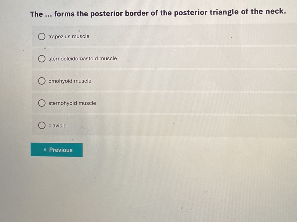 The ... forms the posterior border of the | StudyX