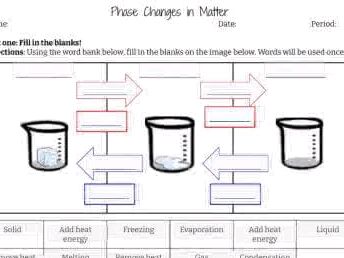 Fill in the blanks! Using the word bank | StudyX