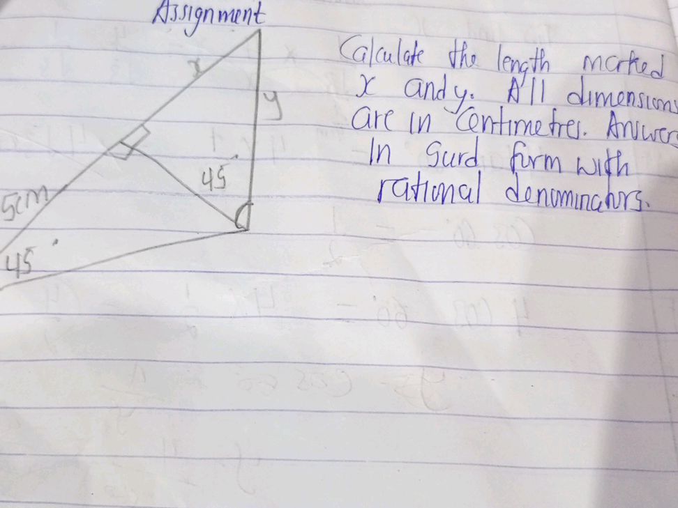 Calculate the length marked x and y. All | StudyX