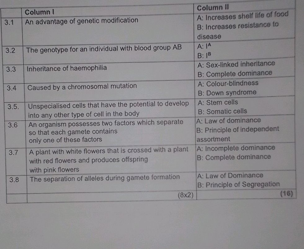Column I Column II A: Increases shelf | StudyX