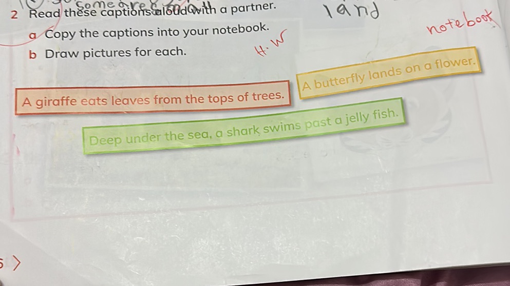 2 Read these captions aloud with a partner. | StudyX