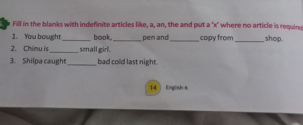 Fill in the blanks with indefinite articles | StudyX