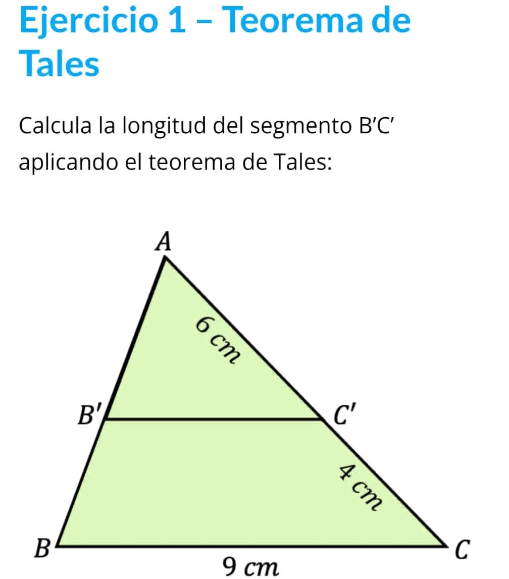 Calcula la longitud del segmento B'C' | StudyX