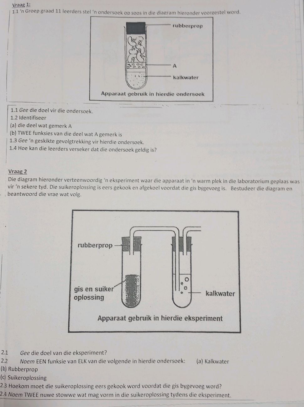 Vraag 1: 1.1 'n Groep graad 11 leerders stel | StudyX