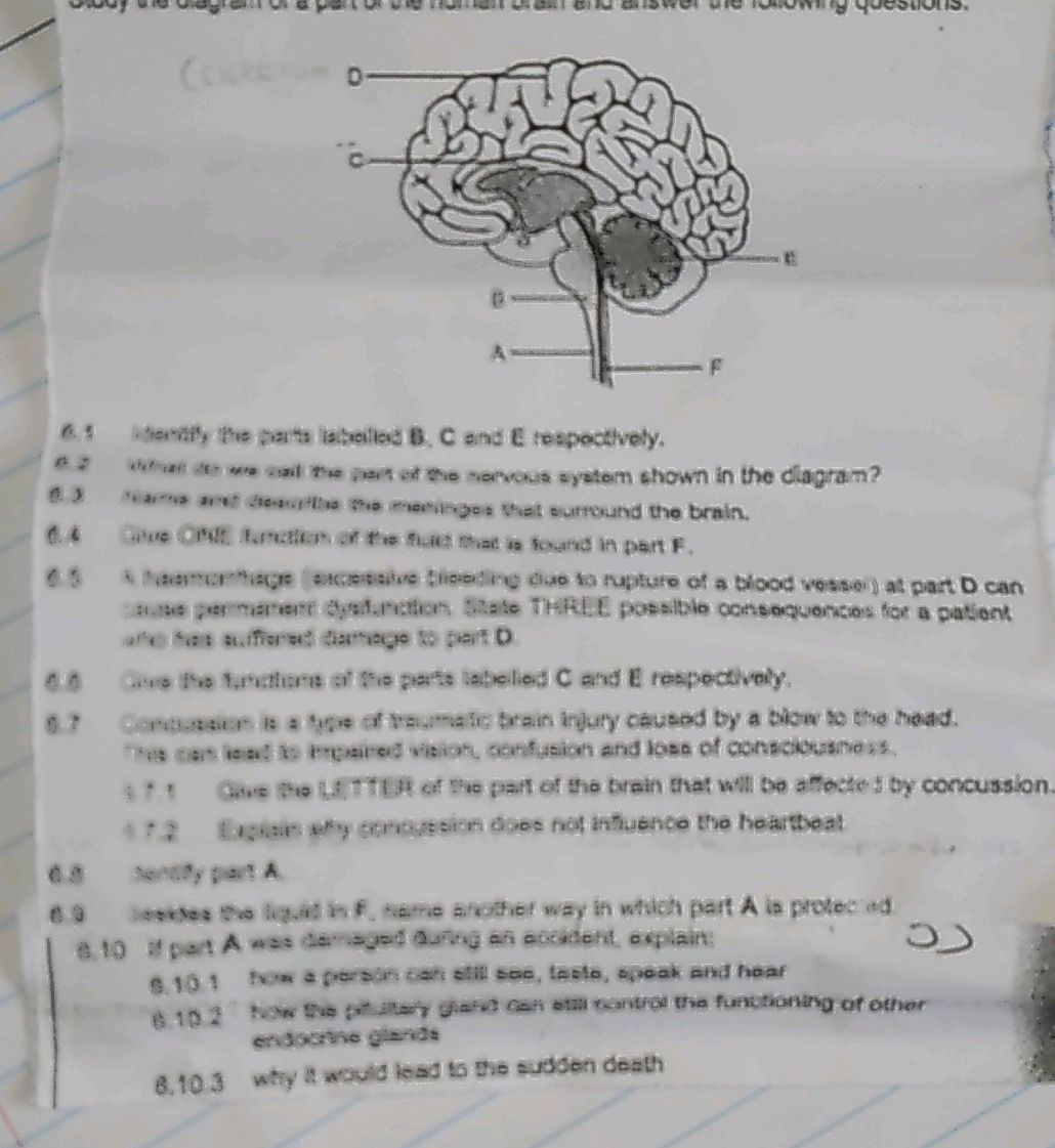 6.1 Identify the parts labelled B, C and E | StudyX