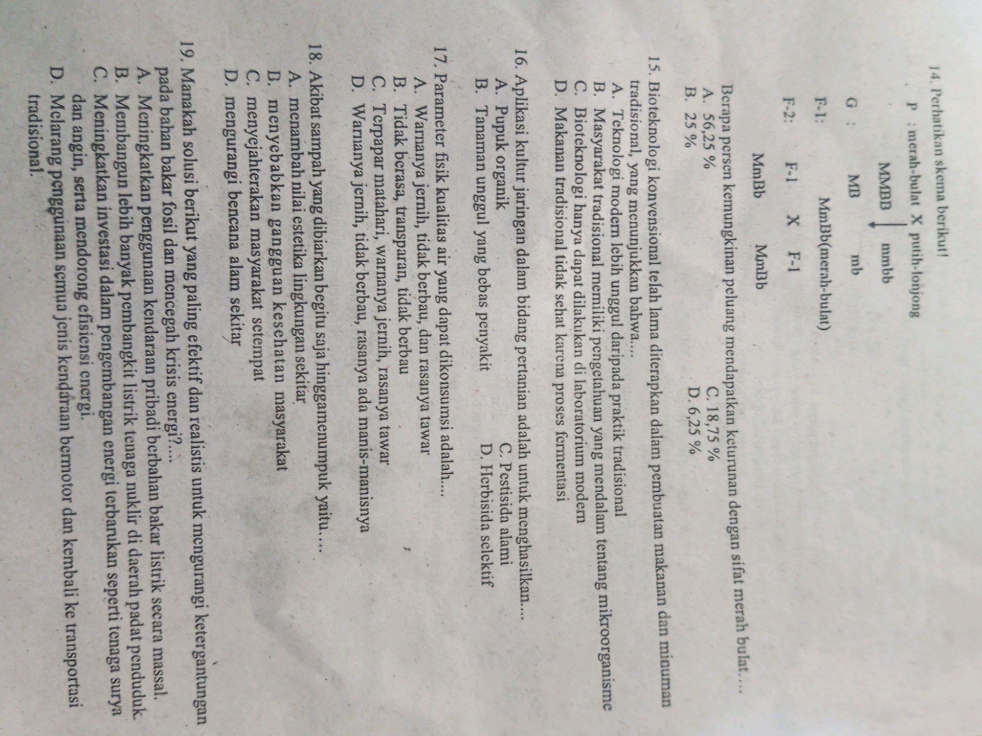 14. Perhatikan skema berikut! P: merah-bulat | StudyX