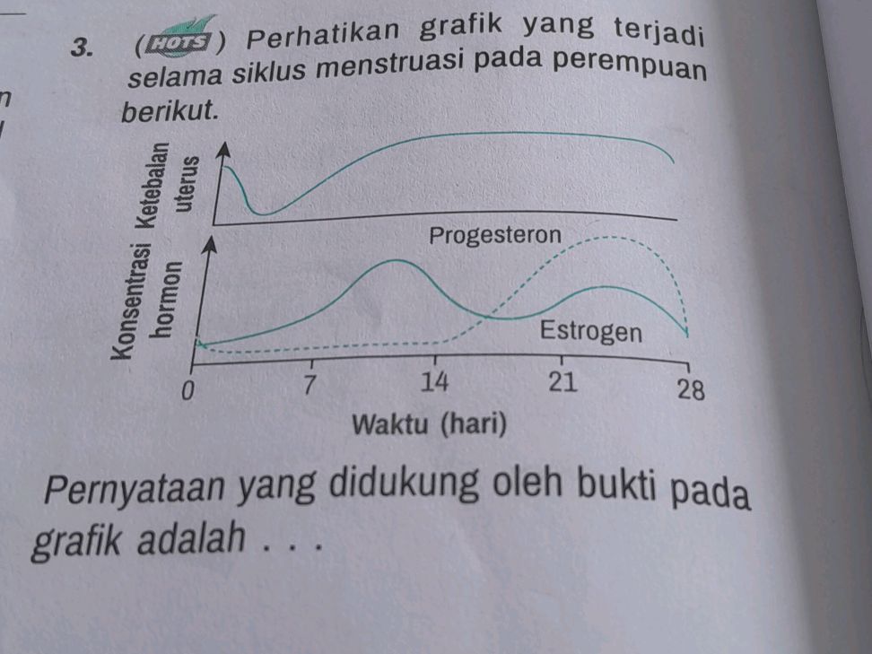 3. Perhatikan grafik yang terjadi selama | StudyX