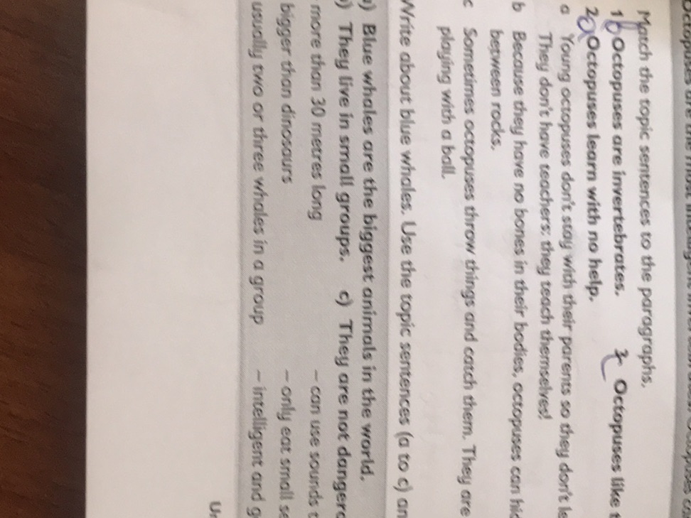 Match the topic sentences to the paragraphs. | StudyX
