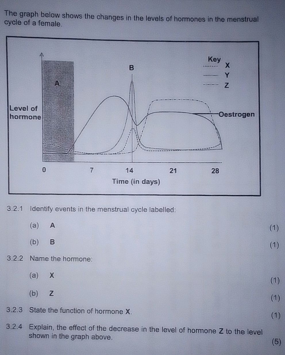 The graph below shows the changes in the | StudyX