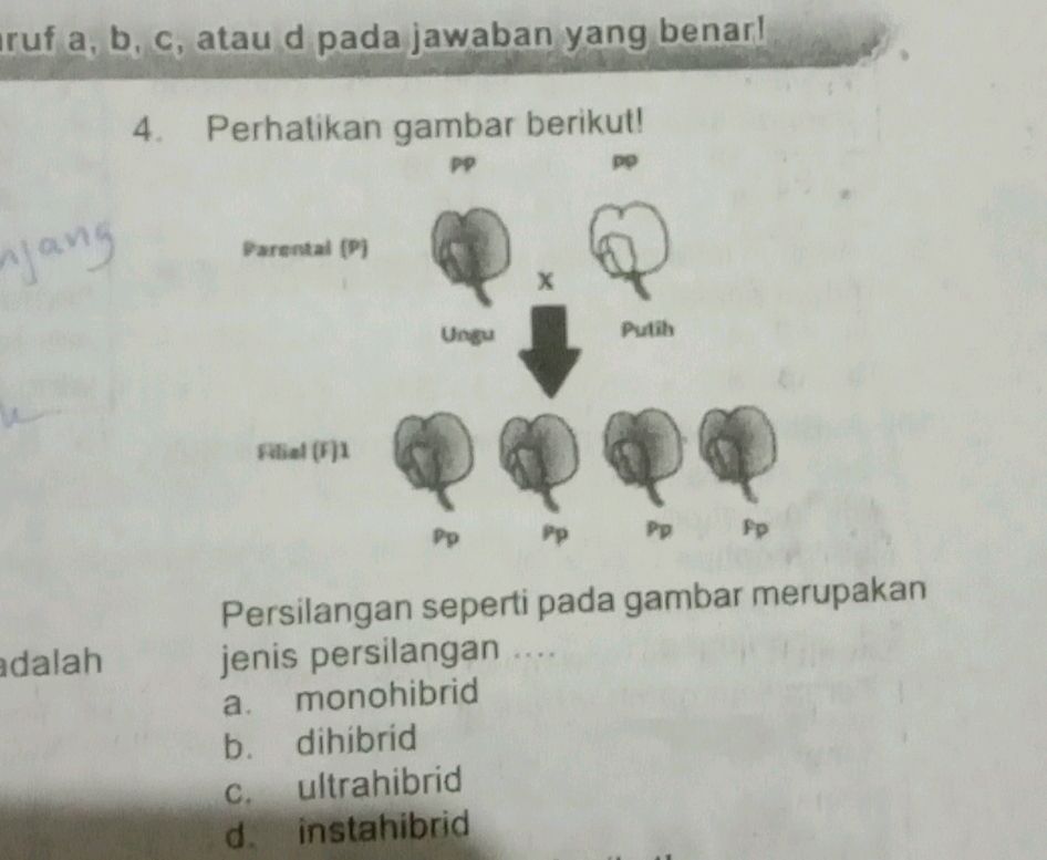 4. Perhatikan gambar berikut! Parental (P) | StudyX