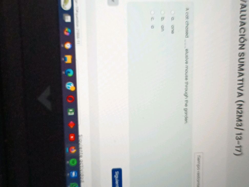 A cat chased ____ elusive mouse through the | StudyX