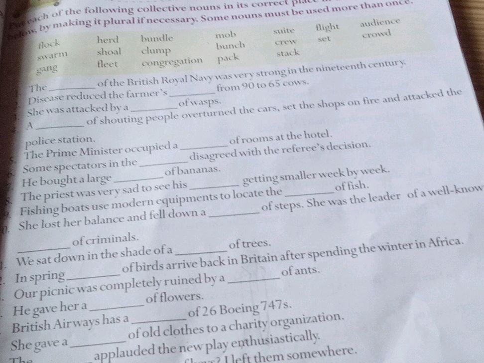 Put each of the following collective nouns | StudyX