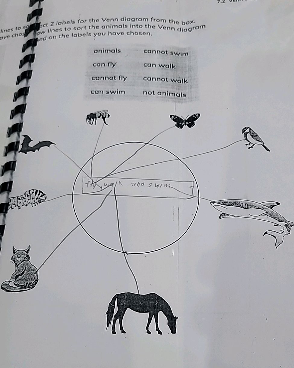 lines to soect 2 labels for the Venn diagram | StudyX
