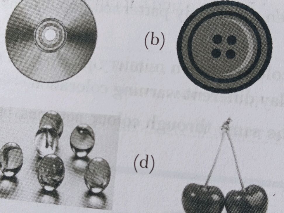 The image contains several objects, | StudyX