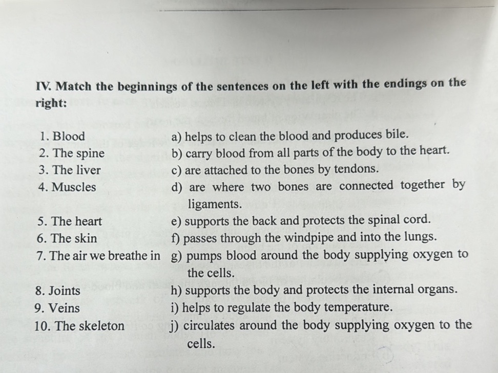 IV. Match the beginnings of the sentences on | StudyX