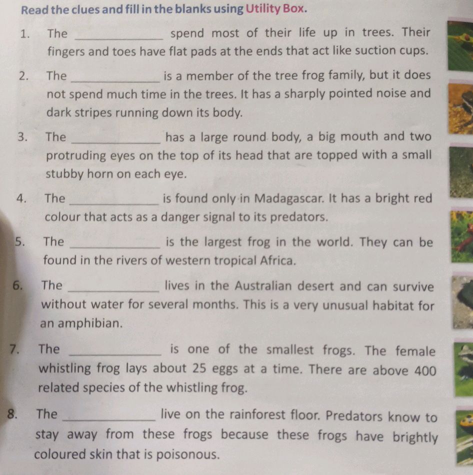 Read the clues and fill in the blanks using | StudyX