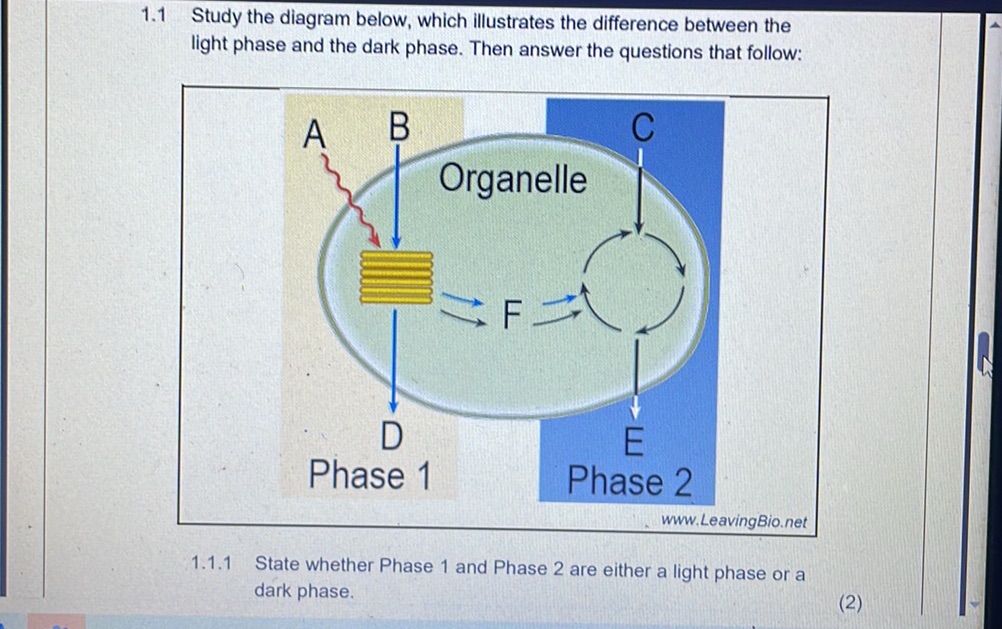 1.1 Study the diagram below, which