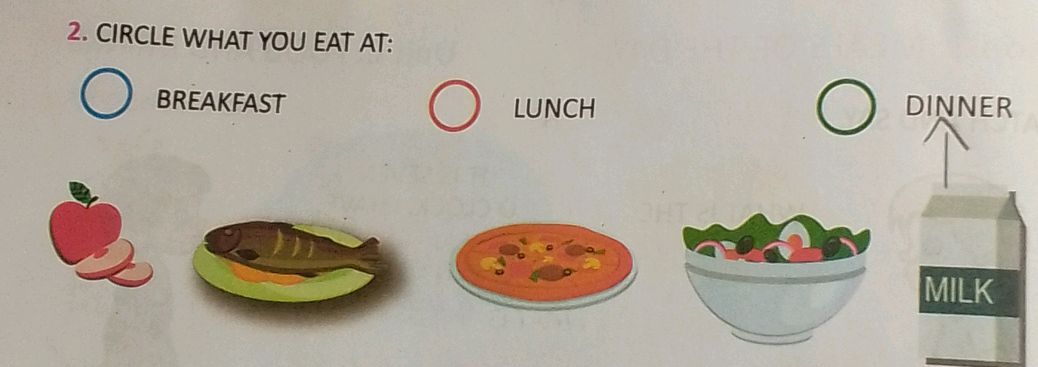 2. CIRCLE WHAT YOU EAT AT: BREAKFAST LUNCH | StudyX