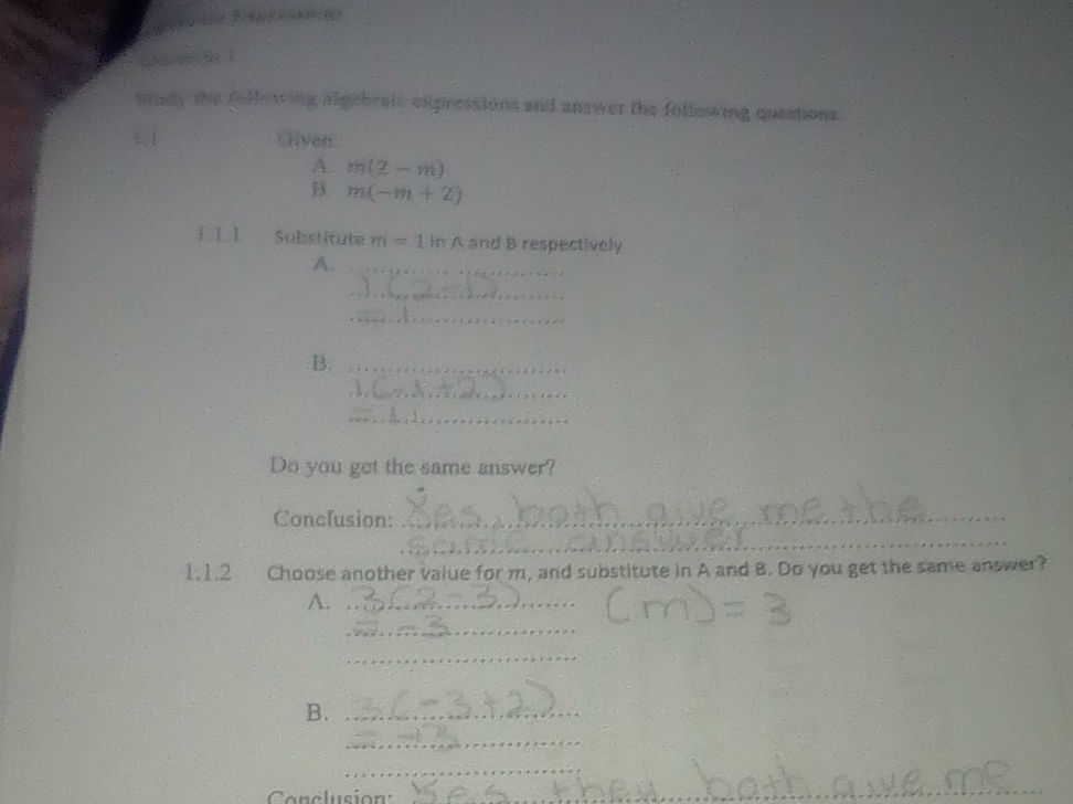 Study the following algebraic expressions | StudyX