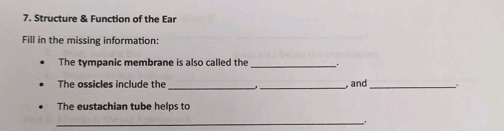 7. Structure Function of the Ear Fill in | StudyX