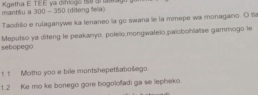 Kgetha E TEE ya dihlogo tse di mantšu a 300 | StudyX