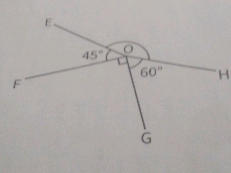 The image shows intersecting lines with | StudyX